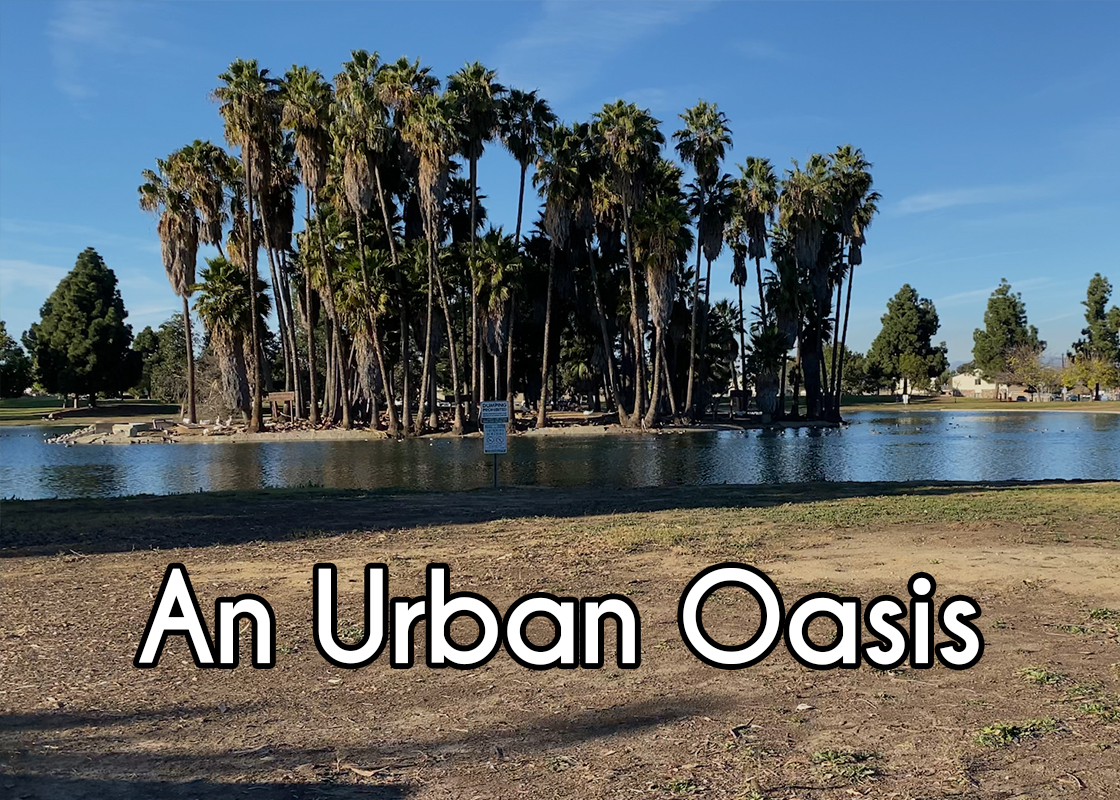 Magic Johnson Park in South LA: Renovation and History – The South LA Recap