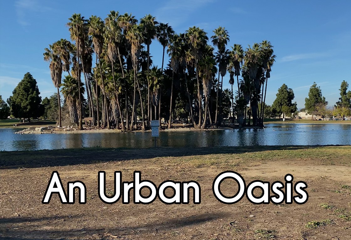 Magic Johnson Park in South LA: Renovation and History – The South LA Recap